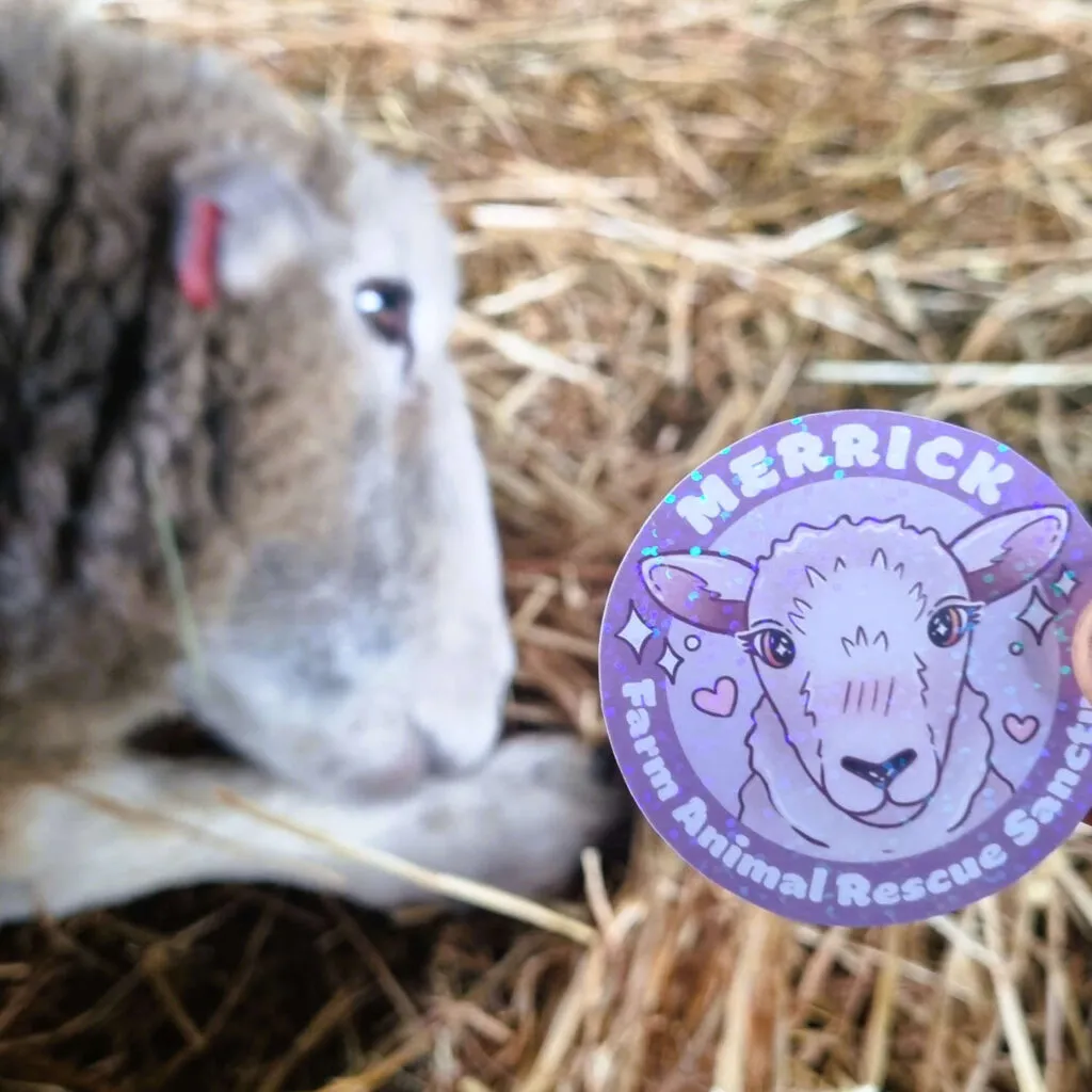 Holographic ShroomyVegan Sticker – Merrick – Farm Animal Rescue Sanctuary