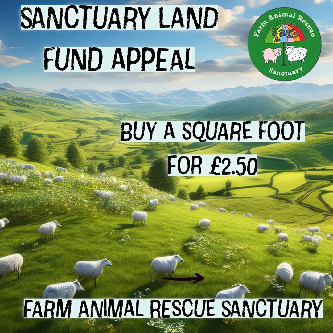FRIENDS OF THE ANIMALS – Farm Animal Rescue Sanctuary