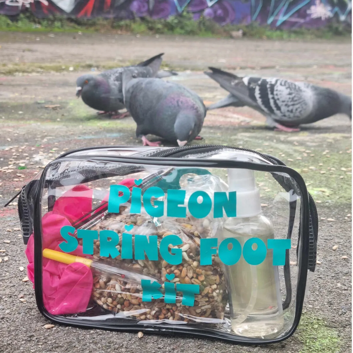 Pigeon String Foot Kit – Farm Animal Rescue Sanctuary